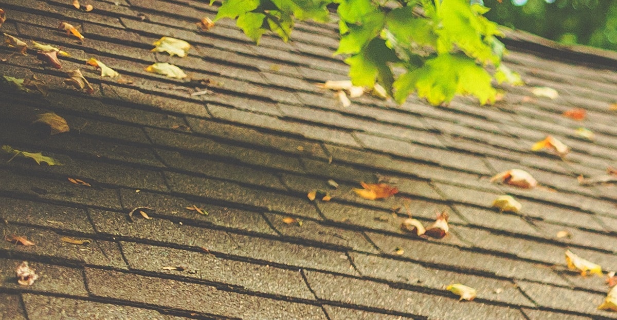 How Often Should You Clean Your Gutters? - The Gutter Boys